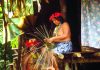 12 Hours in Panama: Gatun Locks, Gatun Lake and the Emberá tribe – Newszetu
