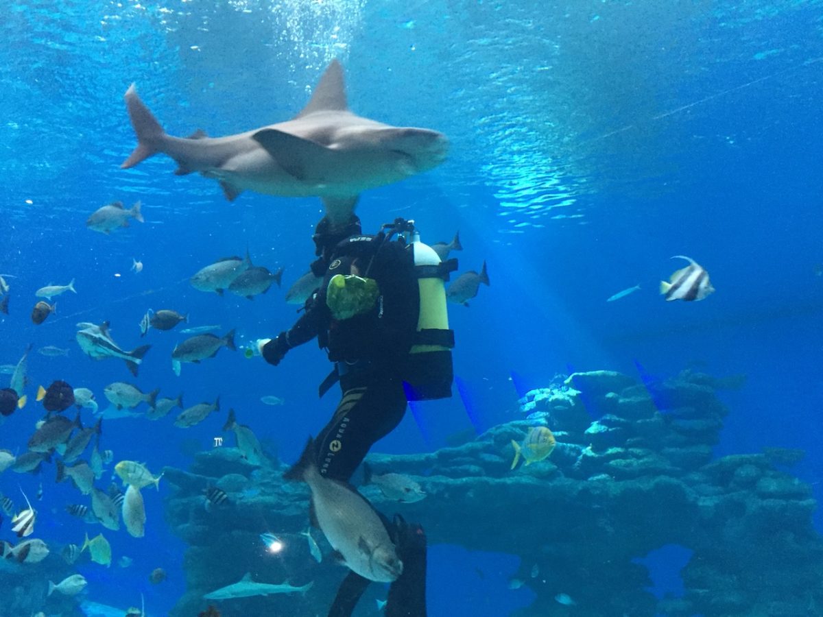 Israel: What to see and do in the Red Sea seaside resort of Eilat