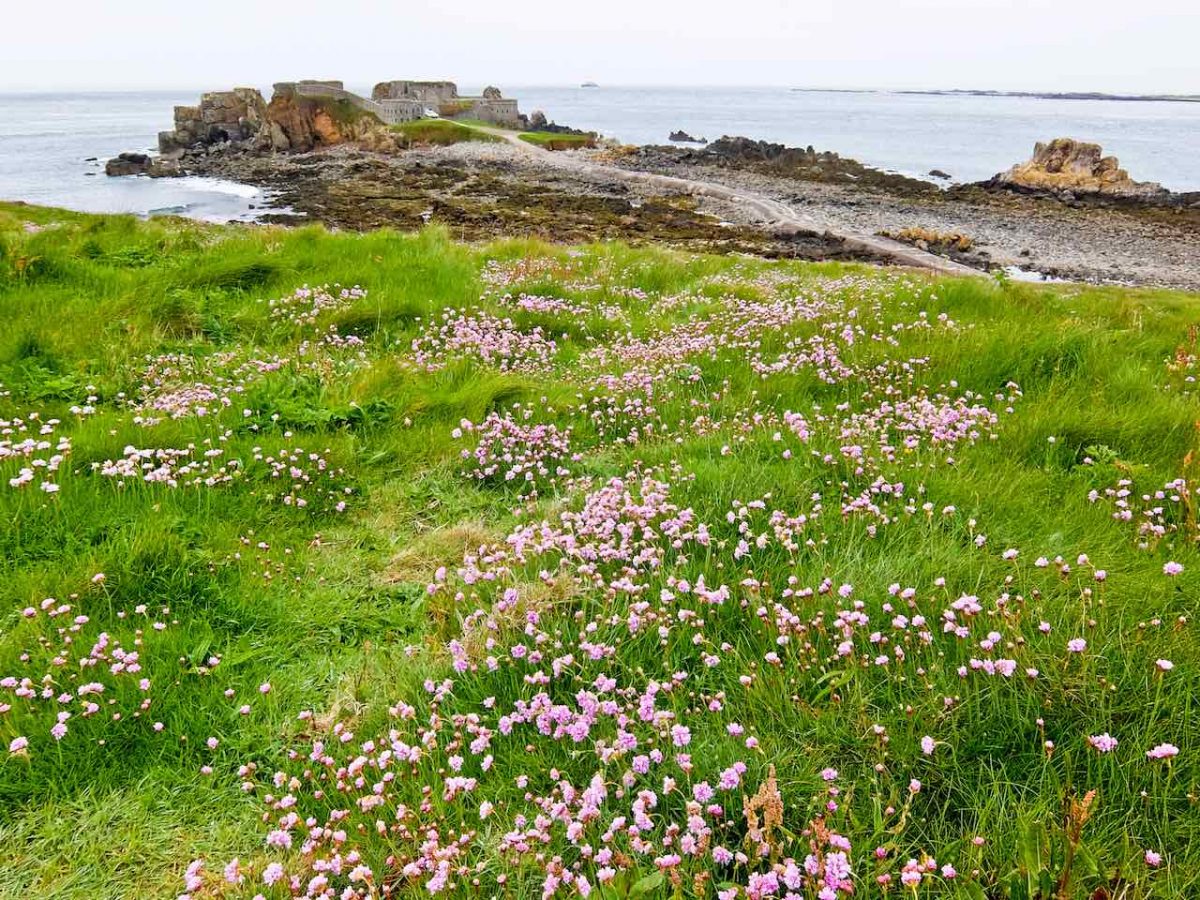 A walk around Alderney, Channel Islands