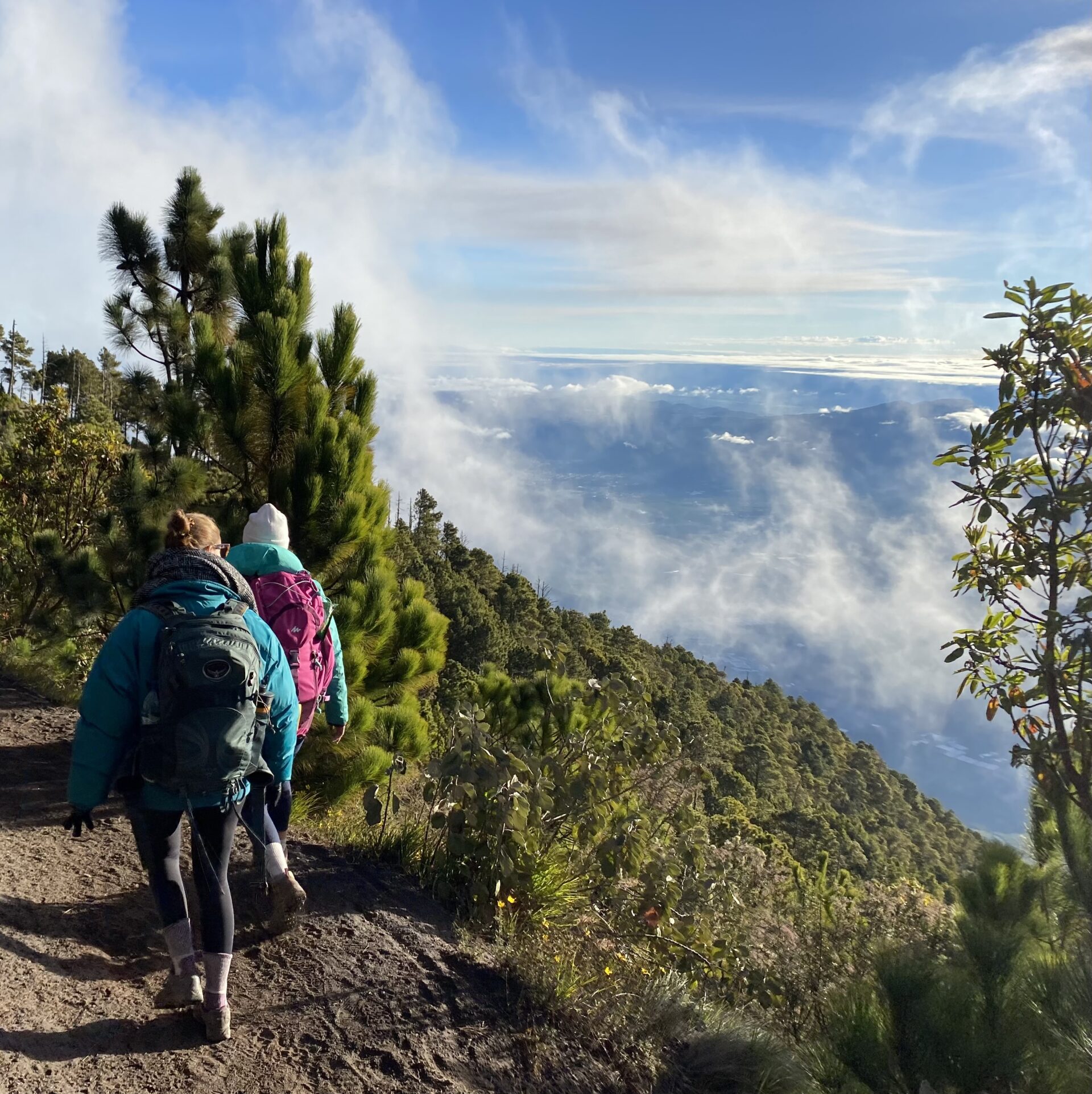 Be honest: are you a flashpacker?