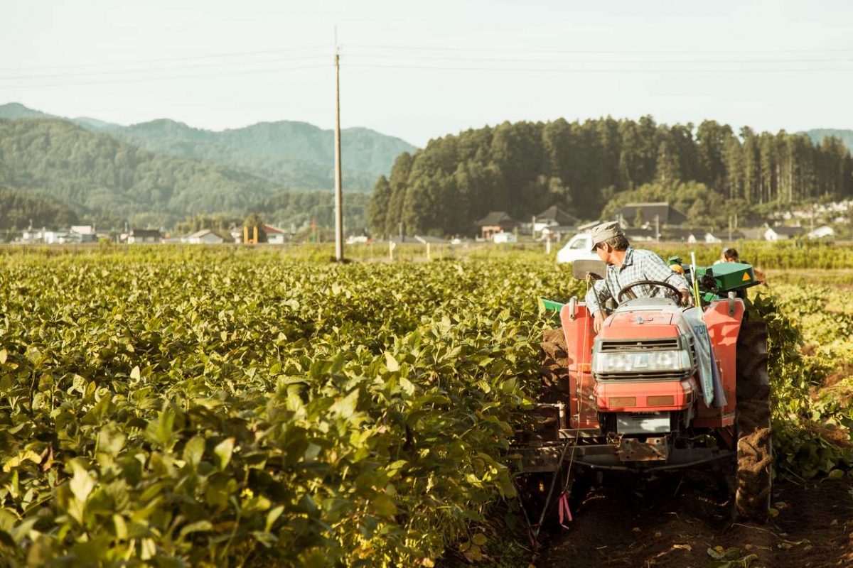 4 reasons for foodies to fall in love with Shonai region, Japan