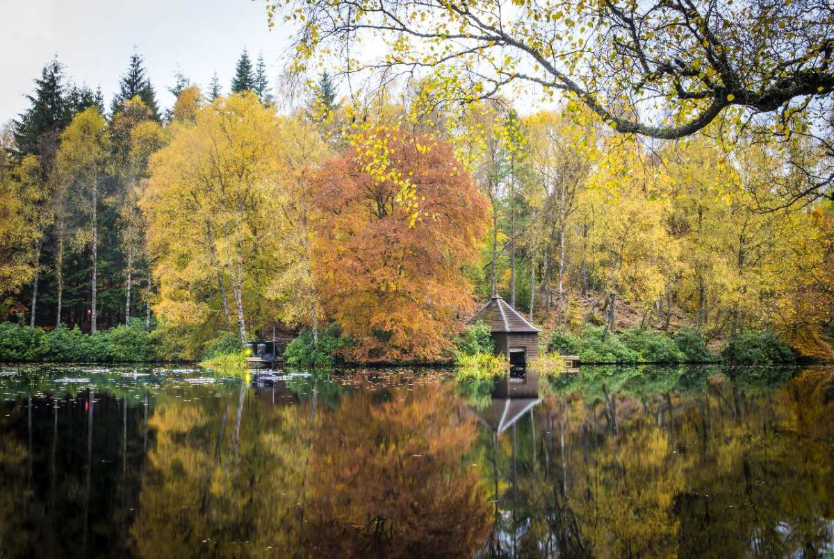 10 of the best places to see Britain’s Autumn colours – Newszetu