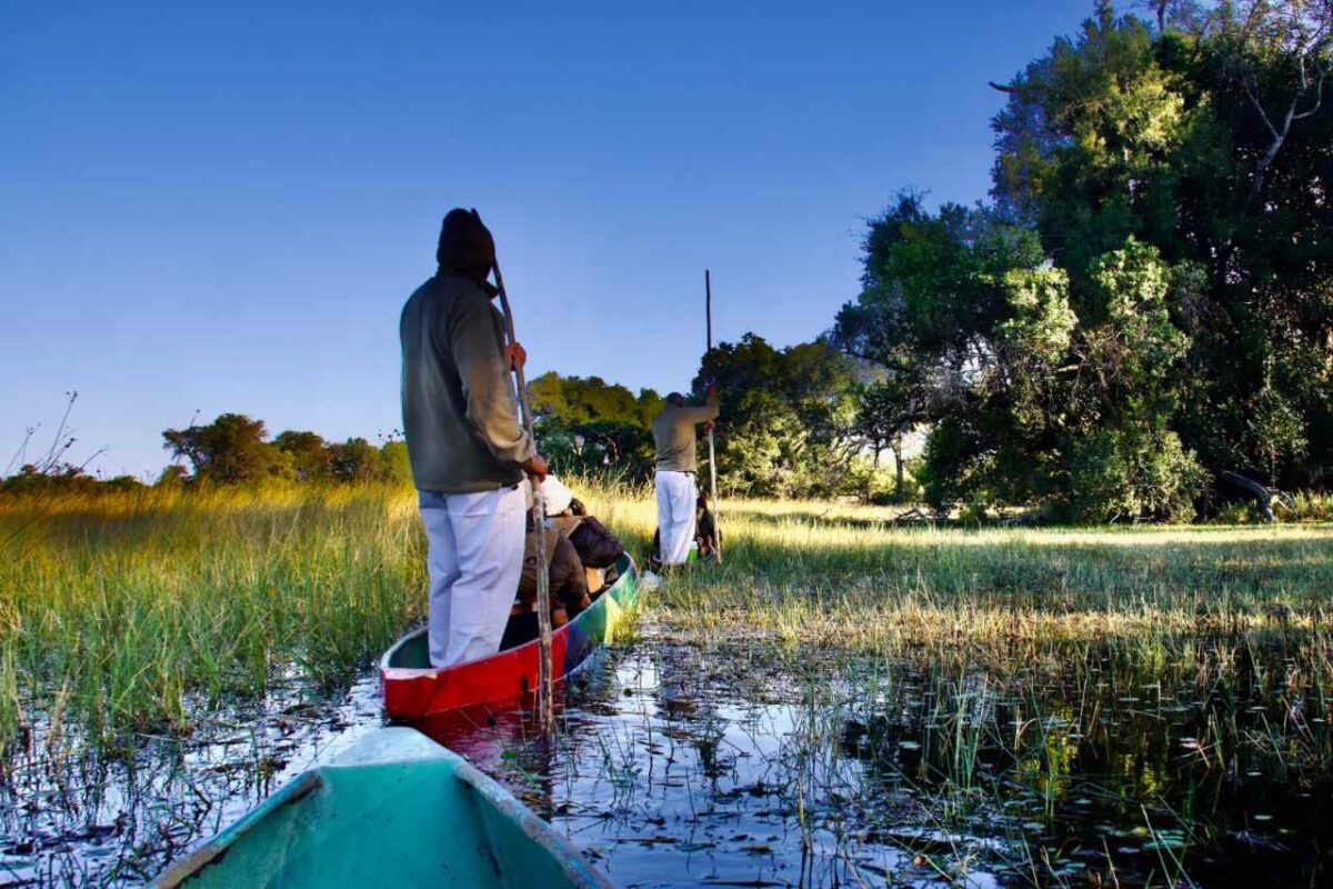 Nxamaseri Island Safari Lodge review, Okavango Delta, Botswana