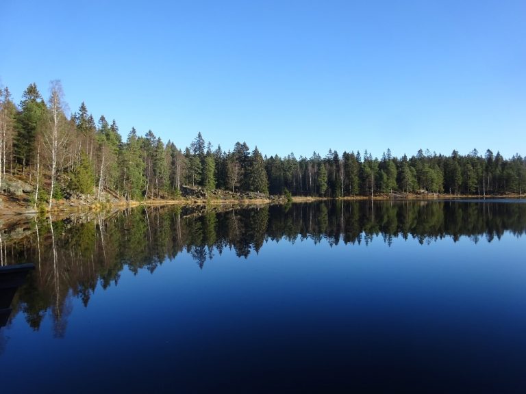 Our journalists reveal their best trips taken in 2019 Part 1 – Newszetu