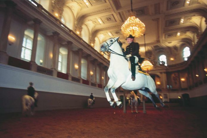 Travel Guide: 24 hours in Vienna, Austria