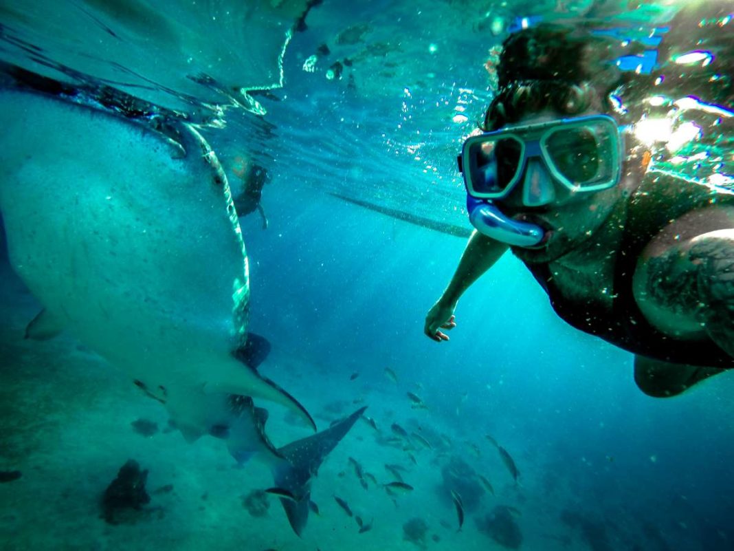 Strange World Photography Competition