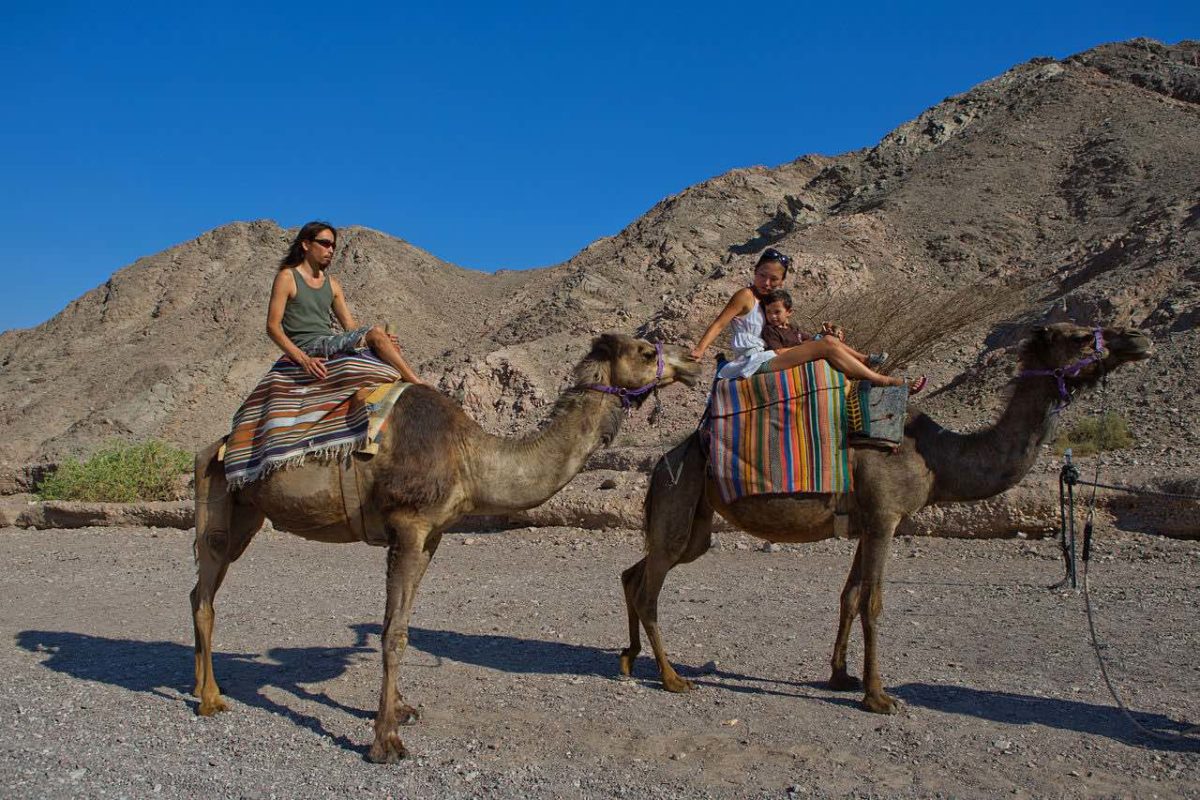 Israel: What to see and do in the Red Sea seaside resort of Eilat