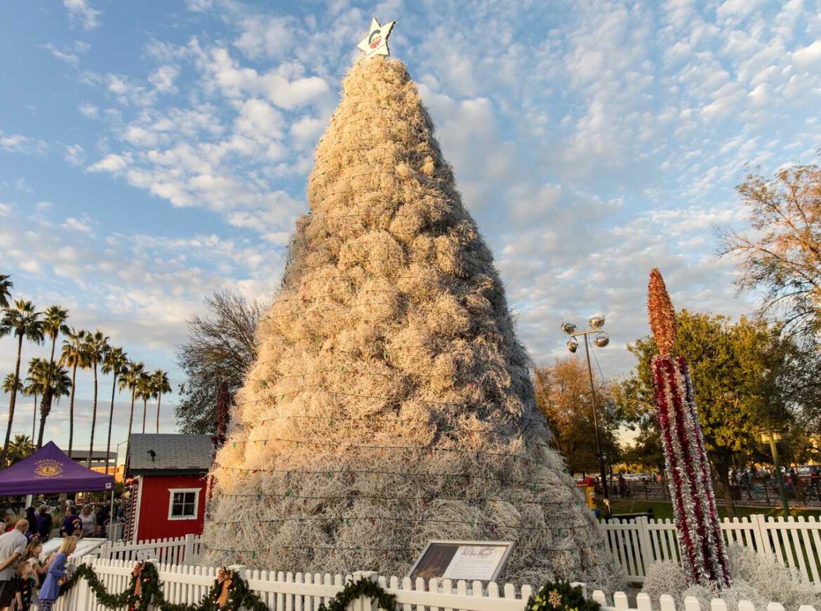 5 stellar Christmas trees in popular cities