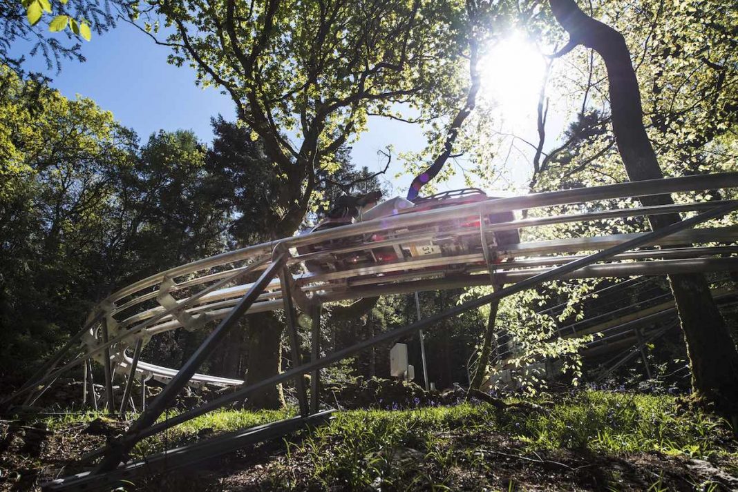 Activity Review: Zip World, Snowdonia National Park, Wales